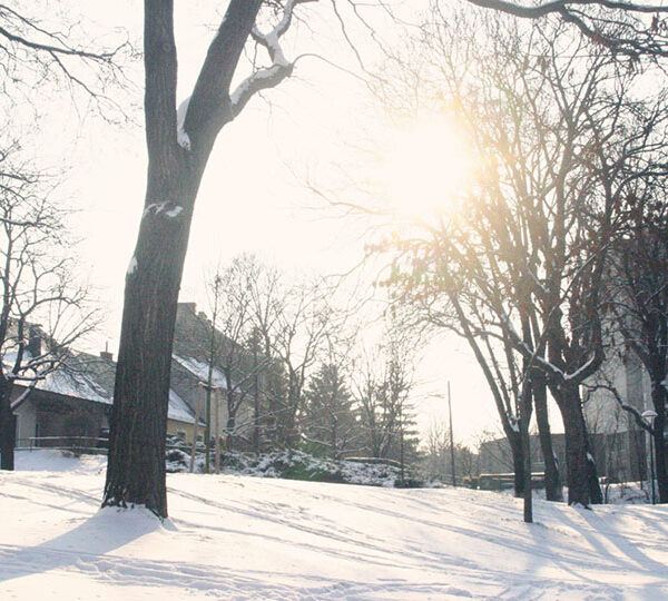 Reasons Why We Love Ski Vacations - Our City Travels